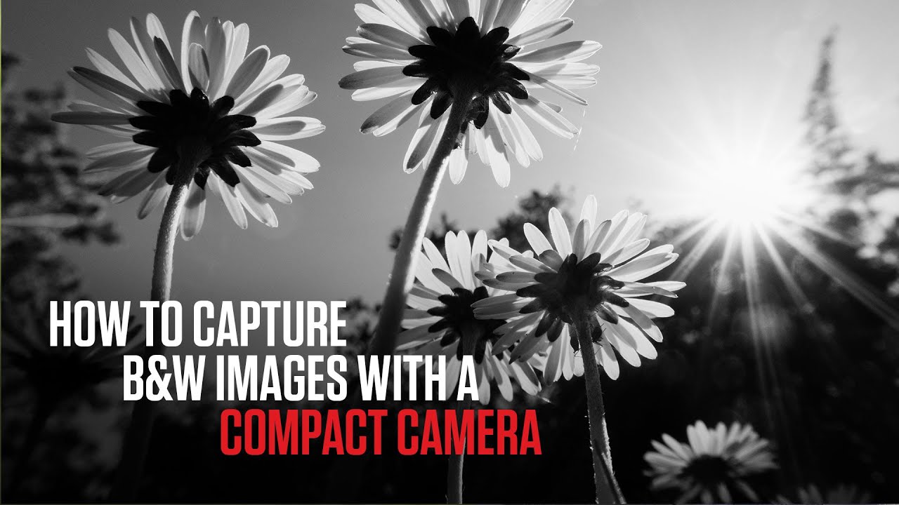 B&W Images Remastered: How to use a compact camera for this? - YouTube