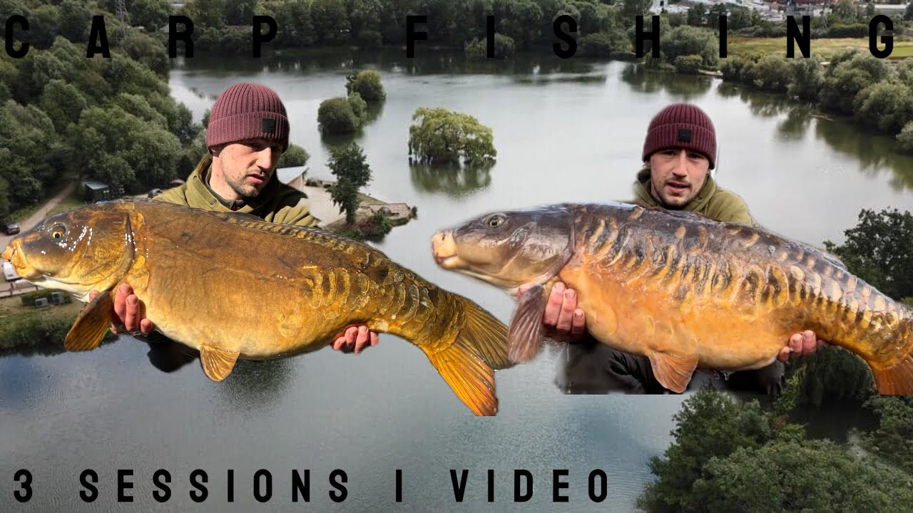 Carp Fishing || 3 sessions 1 video || farlows and nmg fishery - YouTube