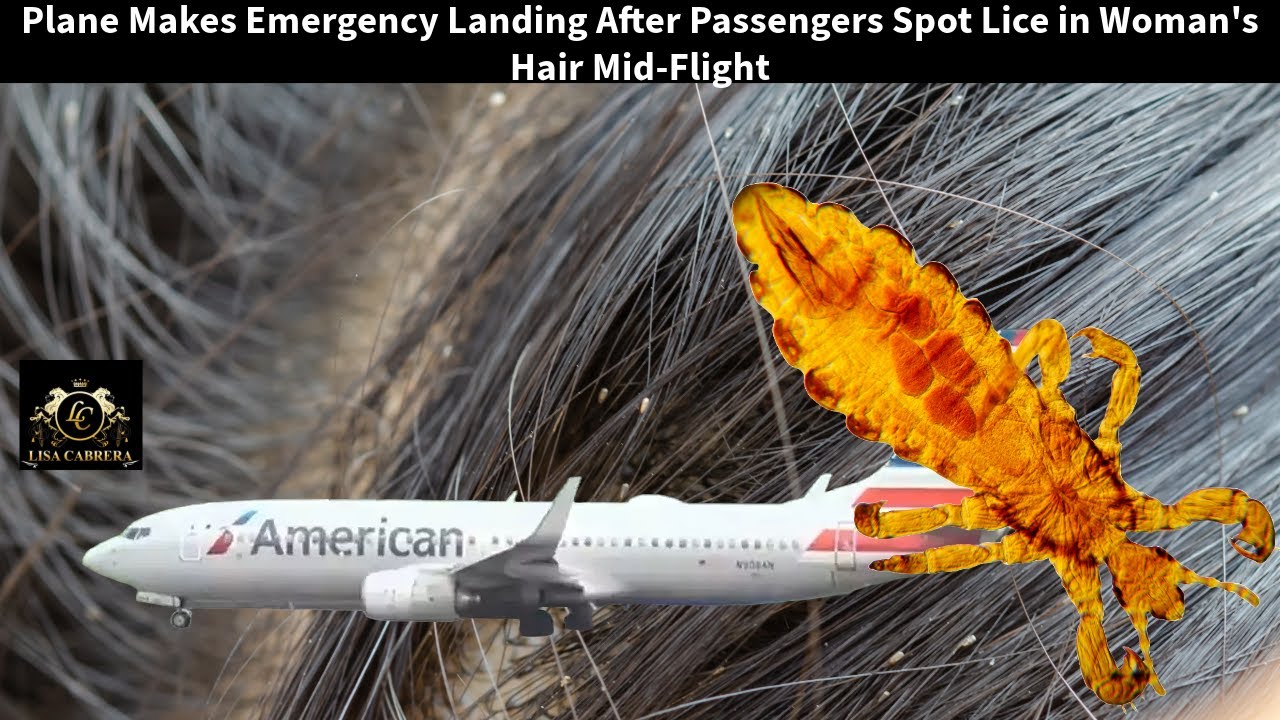 Plane Makes Emergency Landing After Passengers Spot Lice in Woman's ...