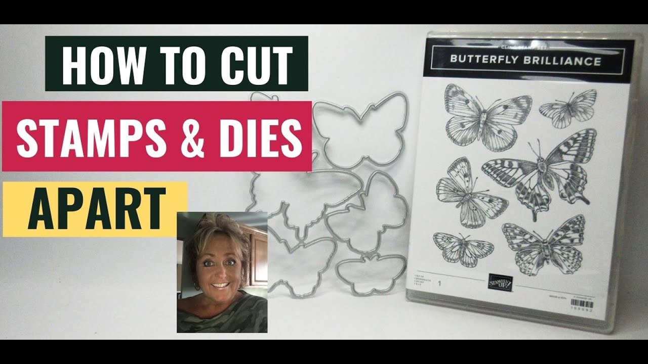 DIY HOW TO SEPARATE STAMP IMAGES & DIES Butterfly Brilliance Bundle ...