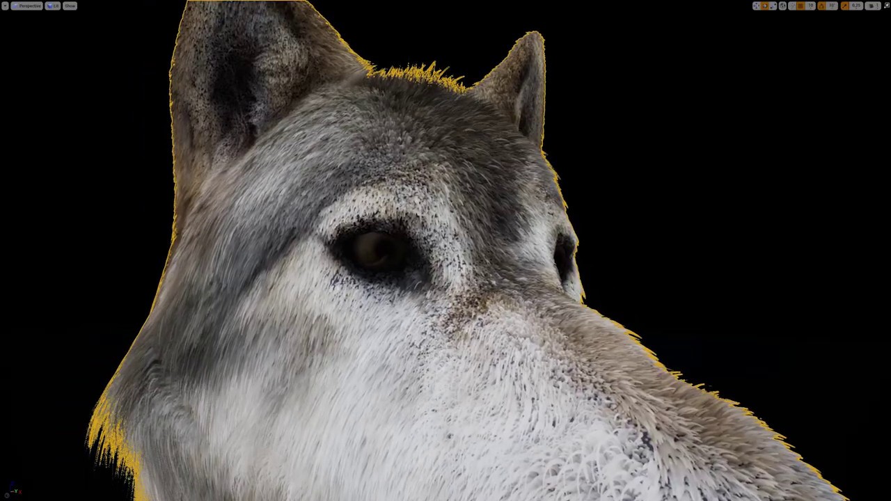 UNREAL ENGINE 4 Editing FUR - YouTube