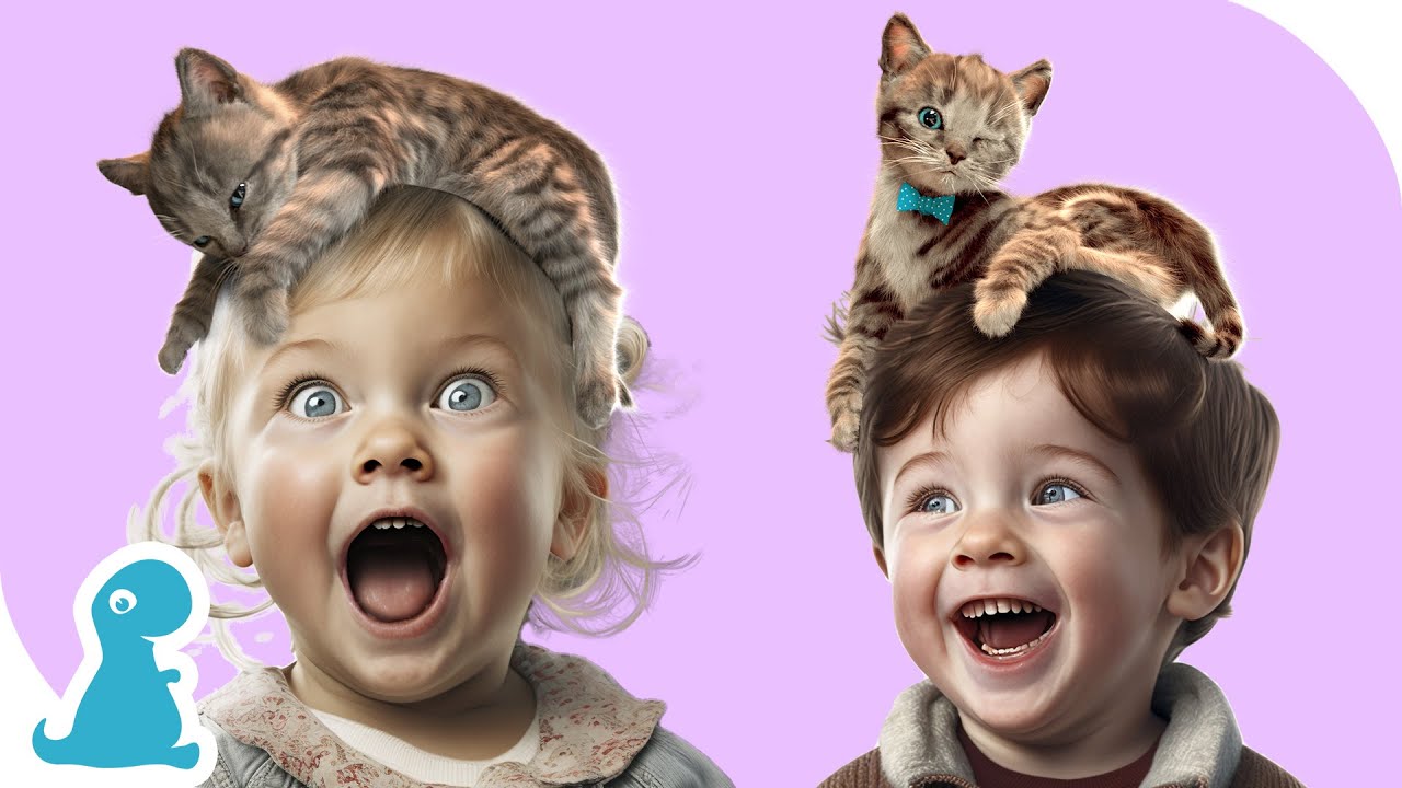 FUN LITTLE KITTEN ADVENTURE - FUNNY CAT VIDEO - NEW KITTEN ADVENTURE ...