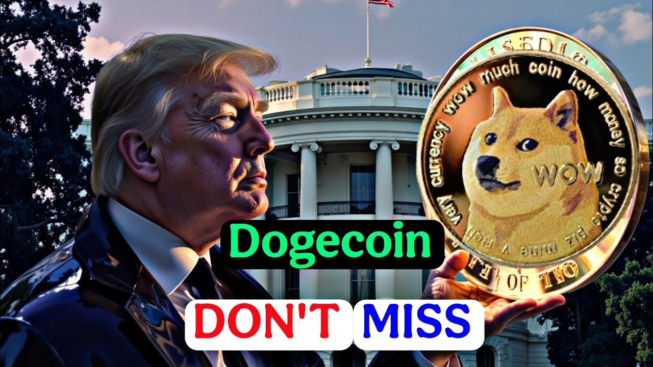 Why are people accumulating Dogecoin, nearly 1 billion DOGE bought in ...