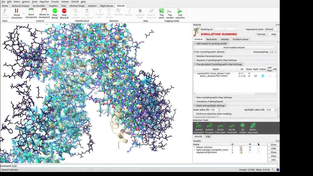 AlphaFold models in structure-solution workflows - YouTube