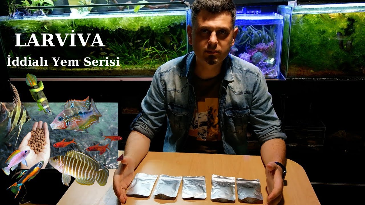 LARVİVA YEMLERİ - YENİ NESİL İDDİALI BALIK YEMLERİ - YouTube
