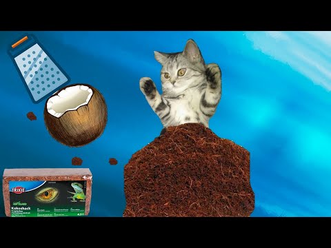 БРИКЕТ КОКОСОВОГО СУБСТРАТА . ДЕЛАЕМ ПОЧВУ . - YouTube