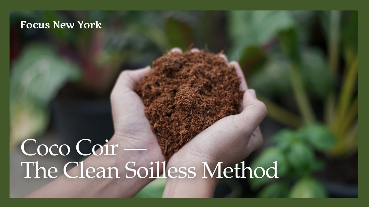 Episode 5: Coco Coir — The Clean Soilless Method - YouTube