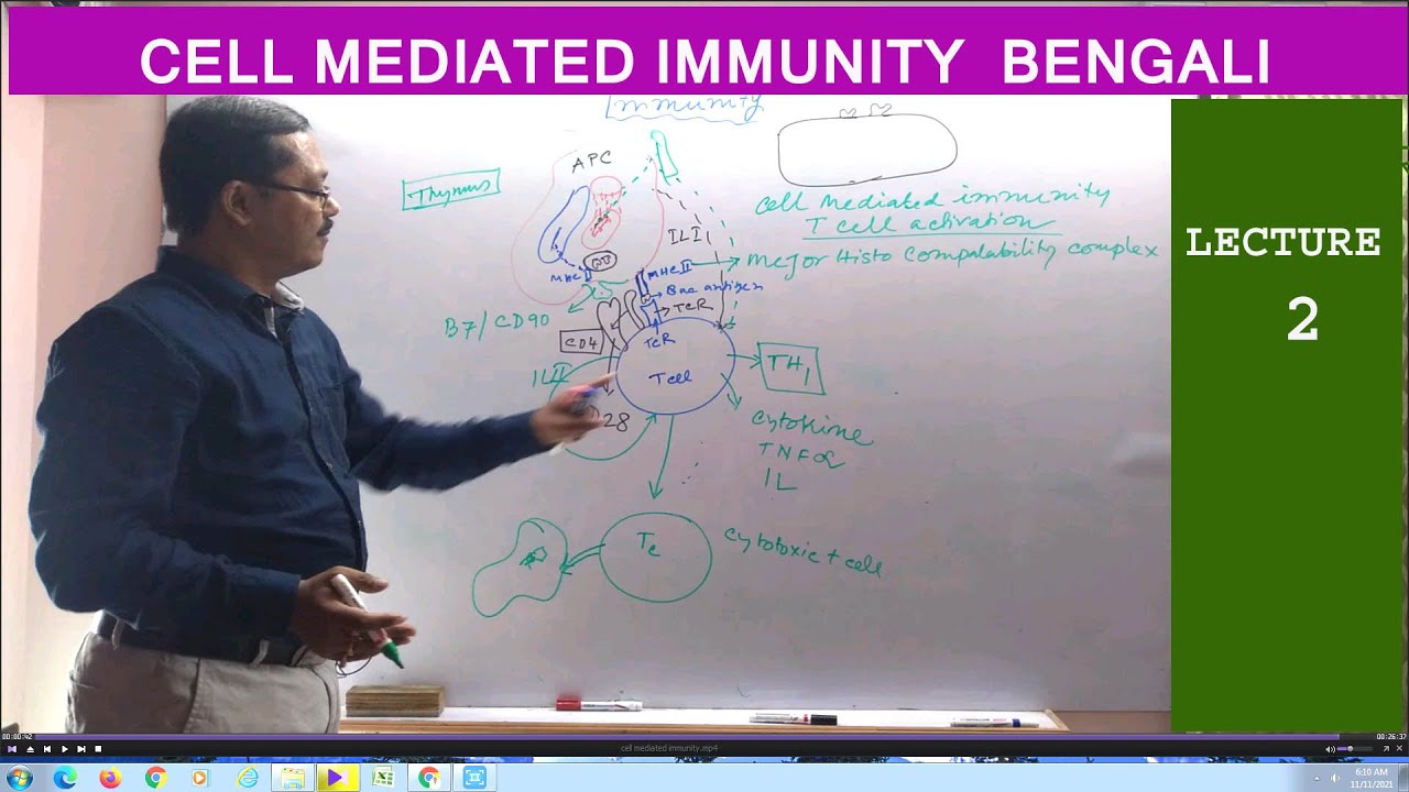 acquired immunity bengali / cell mediated immunity bengali / bsc ...