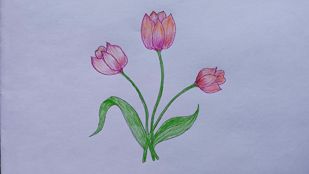 How to draw a follower drawing/rose drawing easy/easy and simple pot ...