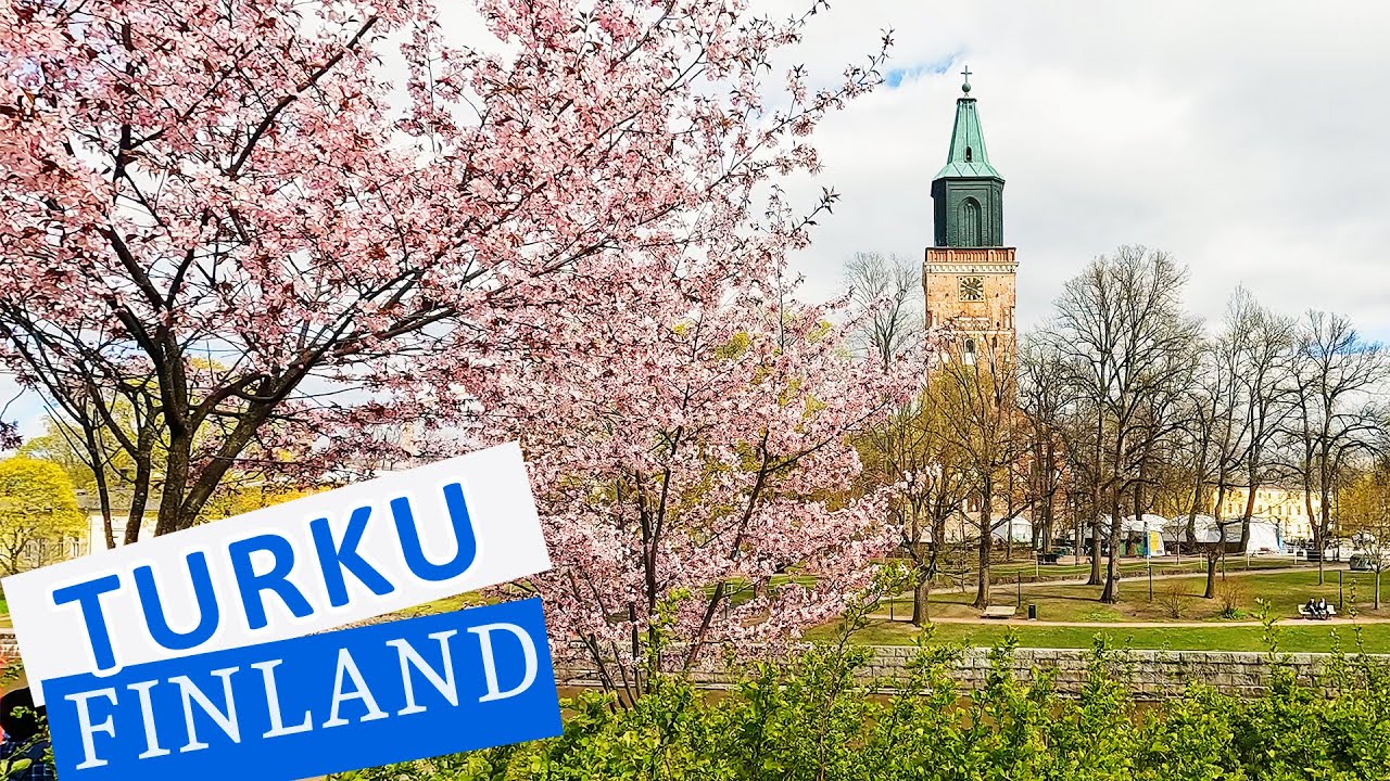 Cherry Trees are Blossoming, but Still Very Cold - Walking in Turku ...