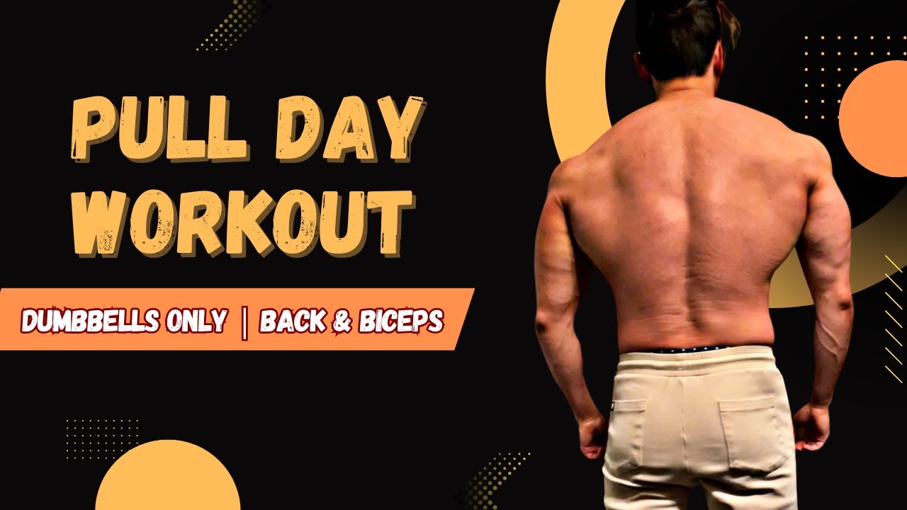 Pull Day Workout | Dumbbells Only | Back Focused | Home Fitness - YouTube