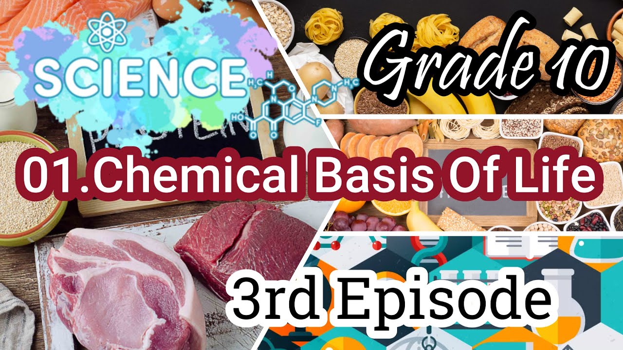 01.chemical basis of life grade 10 1st lesson 3rd episode IL EDUCATION ...