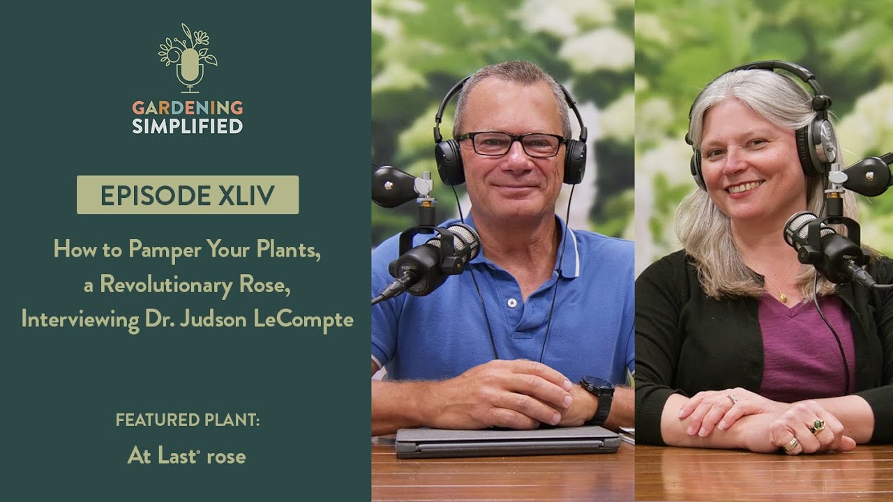 How to Pamper Your Plants, a Revolutionary Rose, and Interviewing Dr ...
