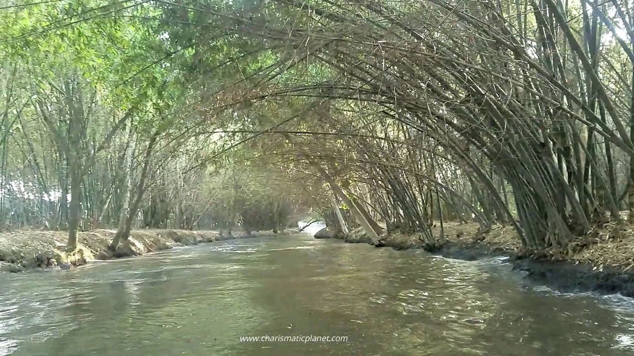 Dazzling Small lake of Rana Hunting Resort Under Bamboo Trees - YouTube