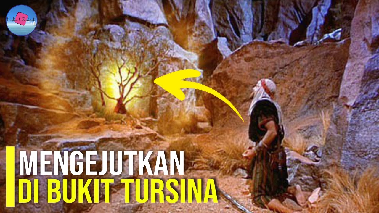 MENGEJUTKAN, INILAH YANG DIWAHYUKAN ALLAH KEPADA NABI MUSA SAAT DI ...