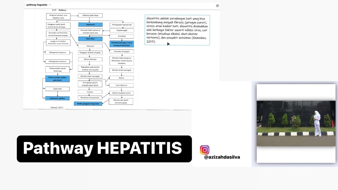 Pathway Hepatitis | DIAGNOSA KEPERAWATAN eps.8 - YouTube