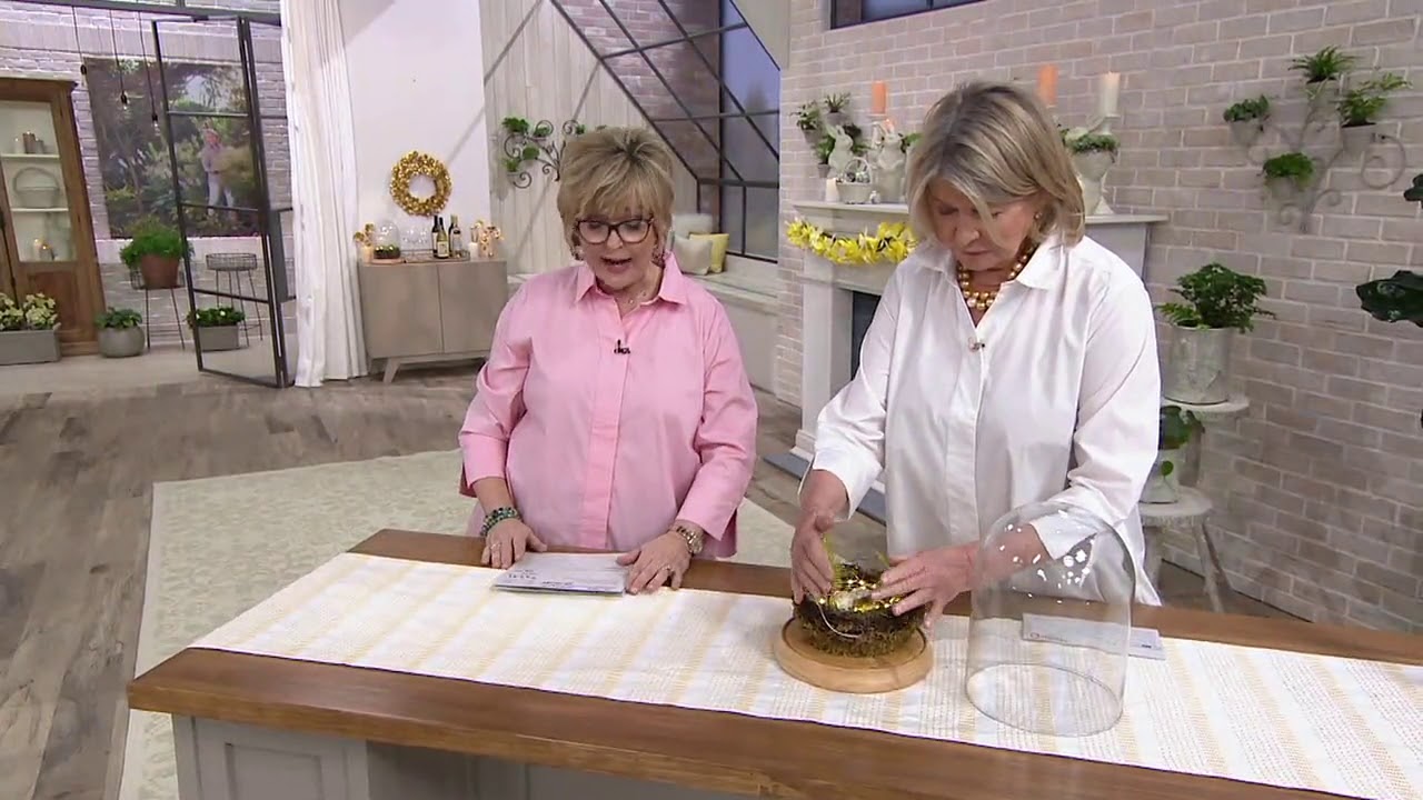 Martha Stewart Illuminated Spring Nest Cloche on QVC - YouTube