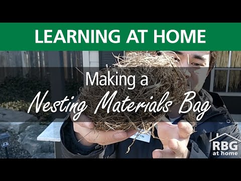 Activity: Make a Nesting Bag for Birds! - YouTube