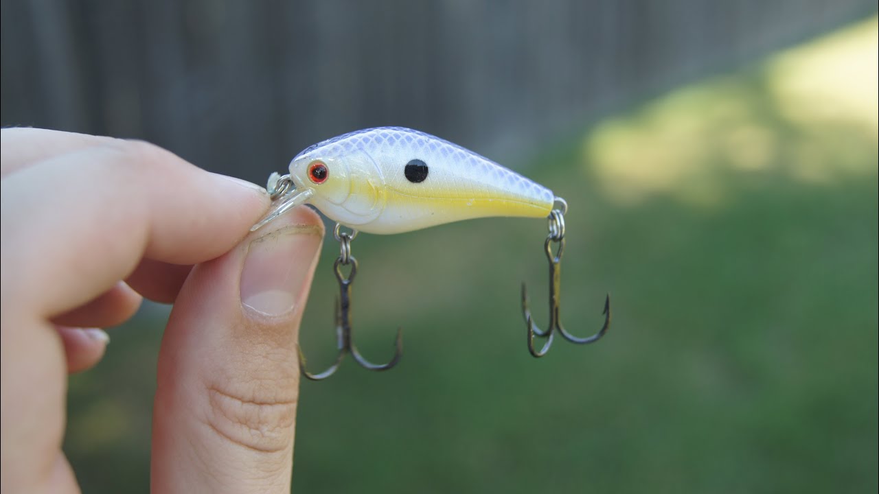 MICRO CRANKBAIT FISHING CHALLENGE!! Will It Work?? - YouTube