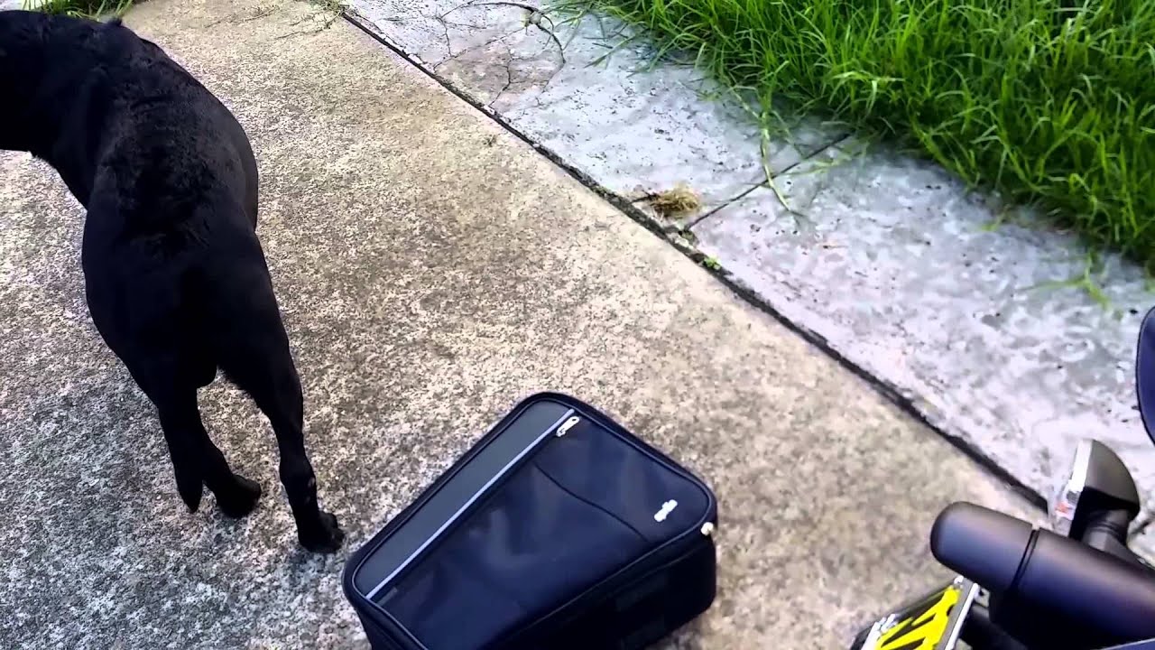 Aprilia Panniers - YouTube