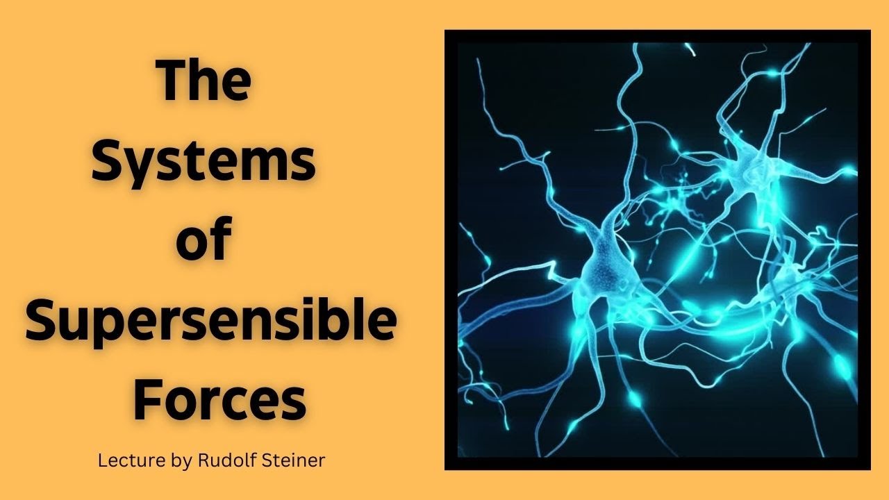Understanding Supersensible Forces in Human Perception: Rudolf Steiner ...