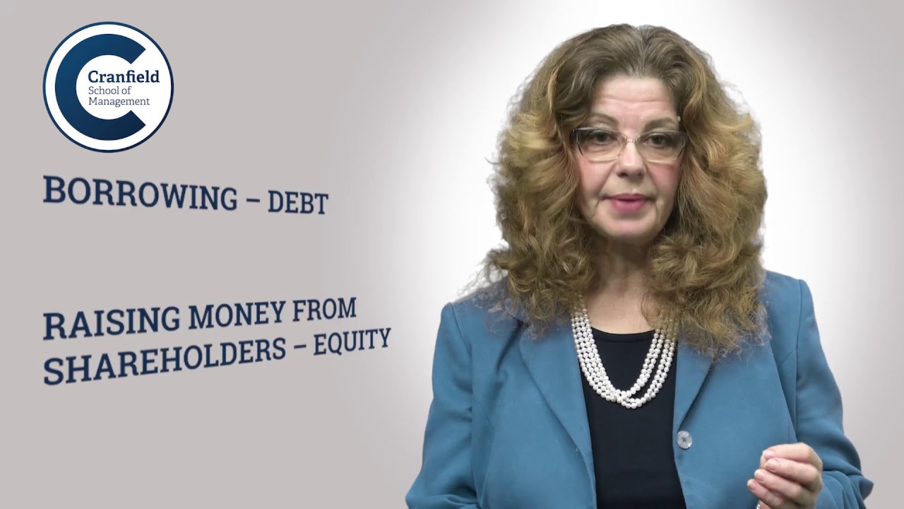 Corporate Financial Strategy Raising Funds An Executive Insight corporate-financial-strategy-raising-funds-an-executive-insight