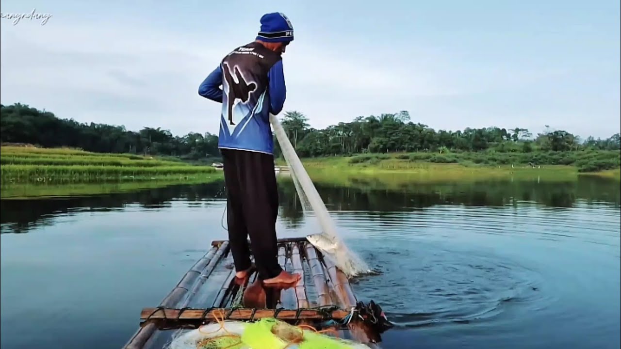 menjala ikan musim hujan debit air trus naik ikan melimpah "net fishing ...