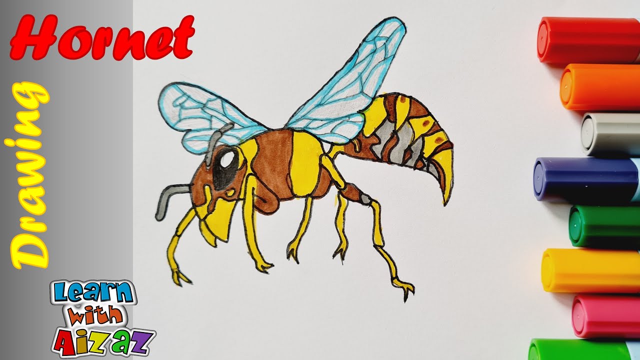 Hornet Drawing For Kids | Learn With Aizaz - YouTube
