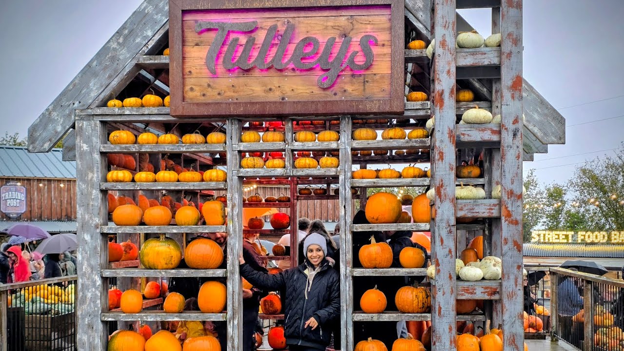 Tulleys Pumpkin Festival:🎃🎃 UK's No.1 Pumpkin Experience! ️ ️ - YouTube