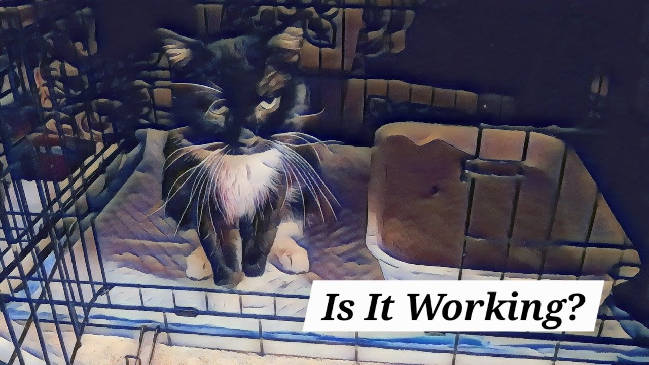 Update on Jack: 4/4/2025 - YouTube