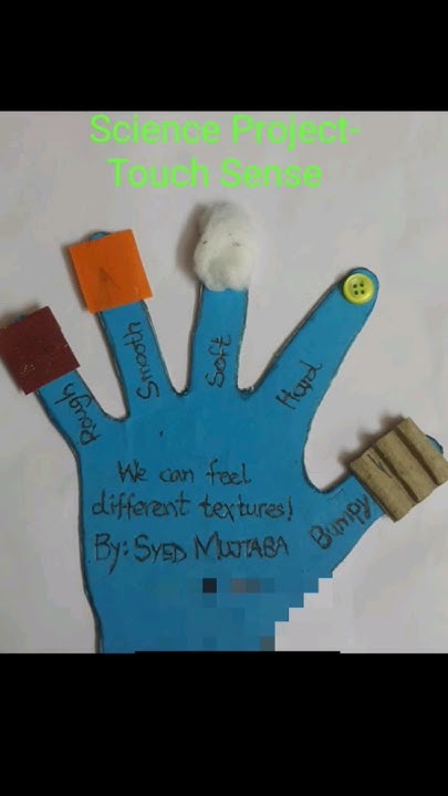 sense of touch texture activity || science project #shorts - YouTube