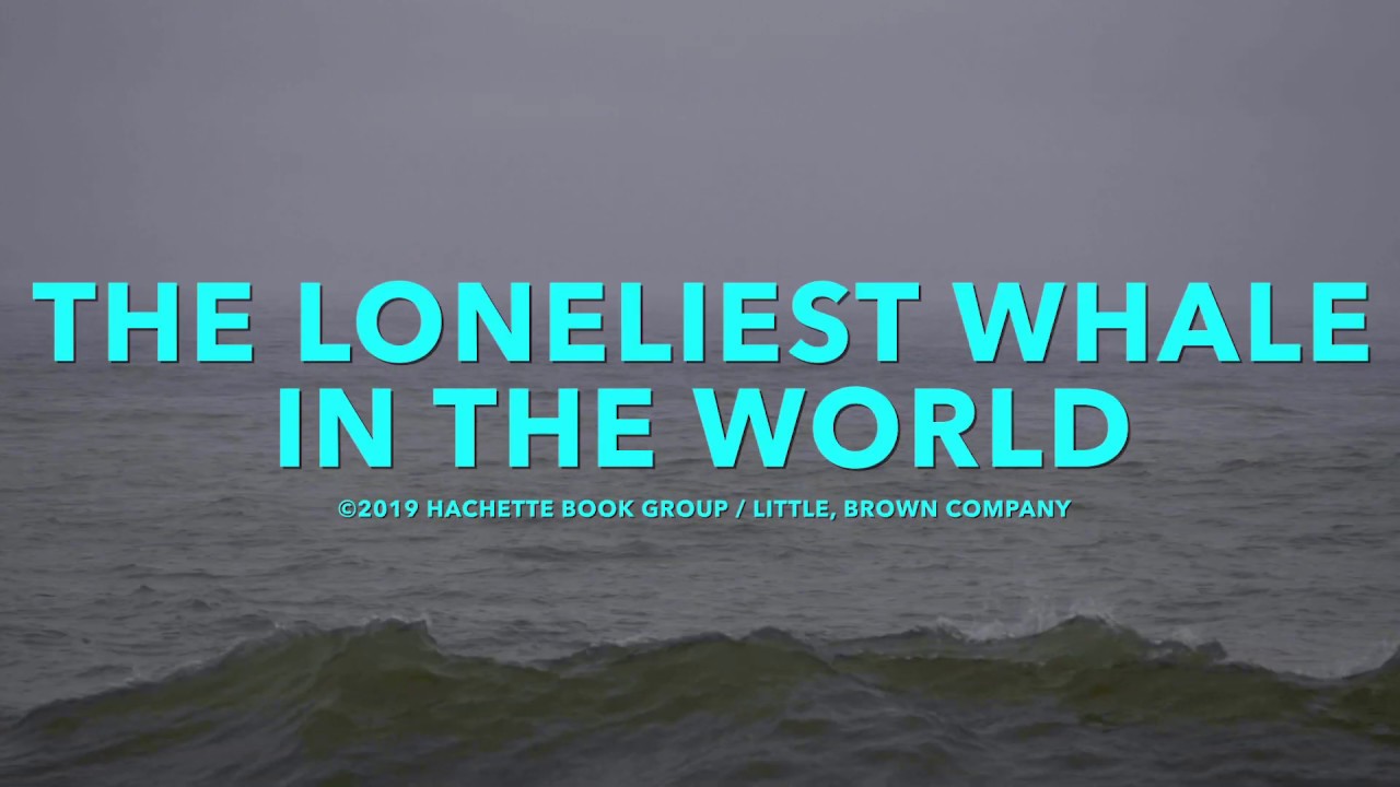 52 Blue - The Loneliest Whale in the World by Leslie Jamison - YouTube