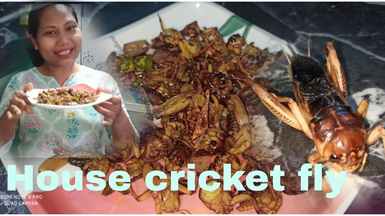 House cricket fly recipe//Grasshopper family// uisinga (Takom) - YouTube