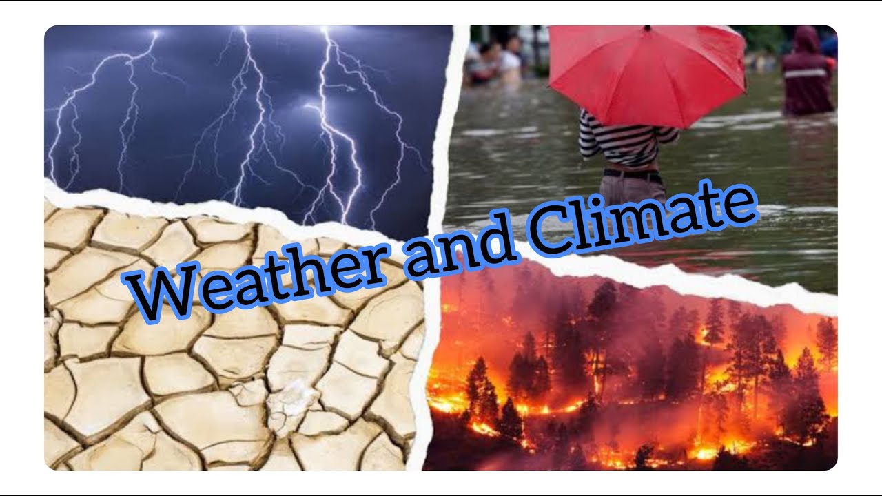 Weather And Climate |Animated| - YouTube