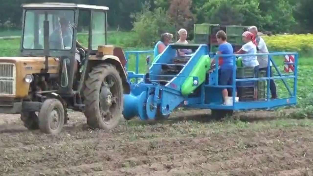 Potato and Root Harvester - YouTube