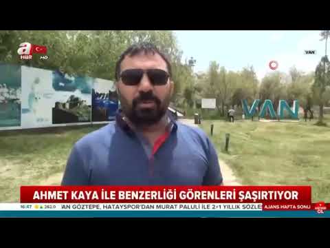 İsmail Yılmaz şaiir haberleri