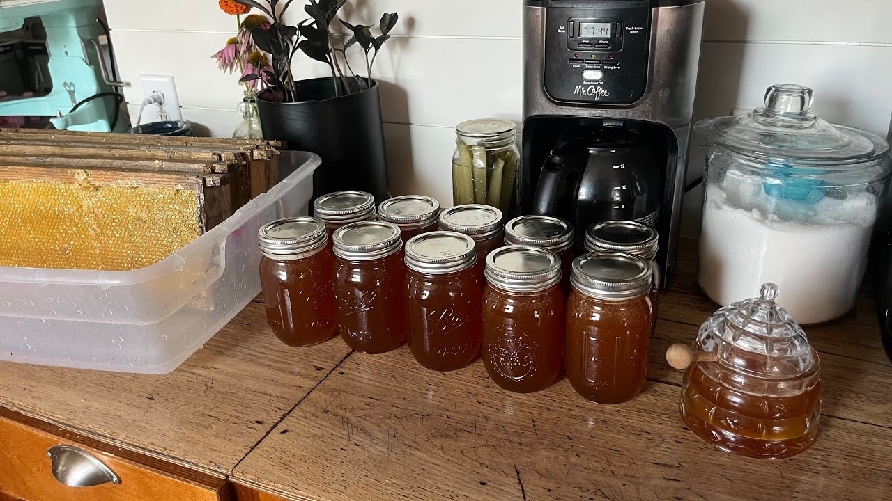 How to harvest honey with no equipment or special tools - YouTube