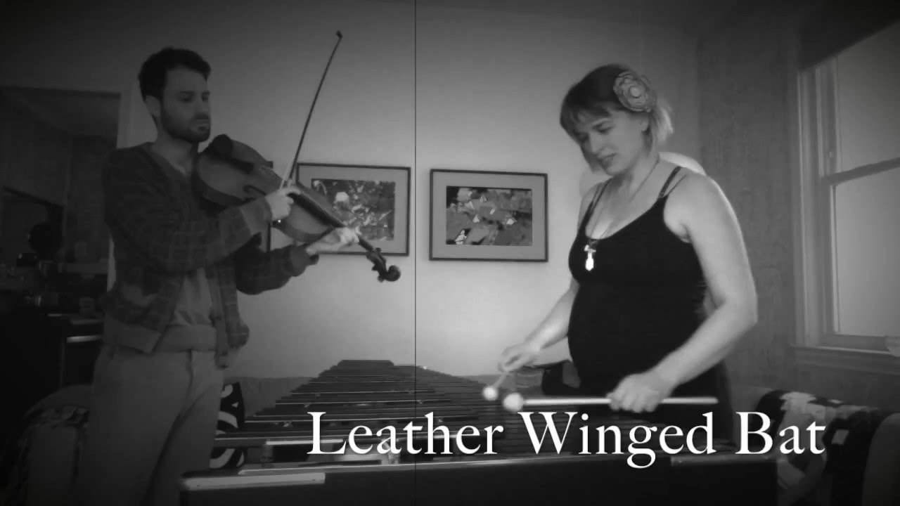 Dede Alder & Josh Holcomb : Leather Winged Bat - YouTube