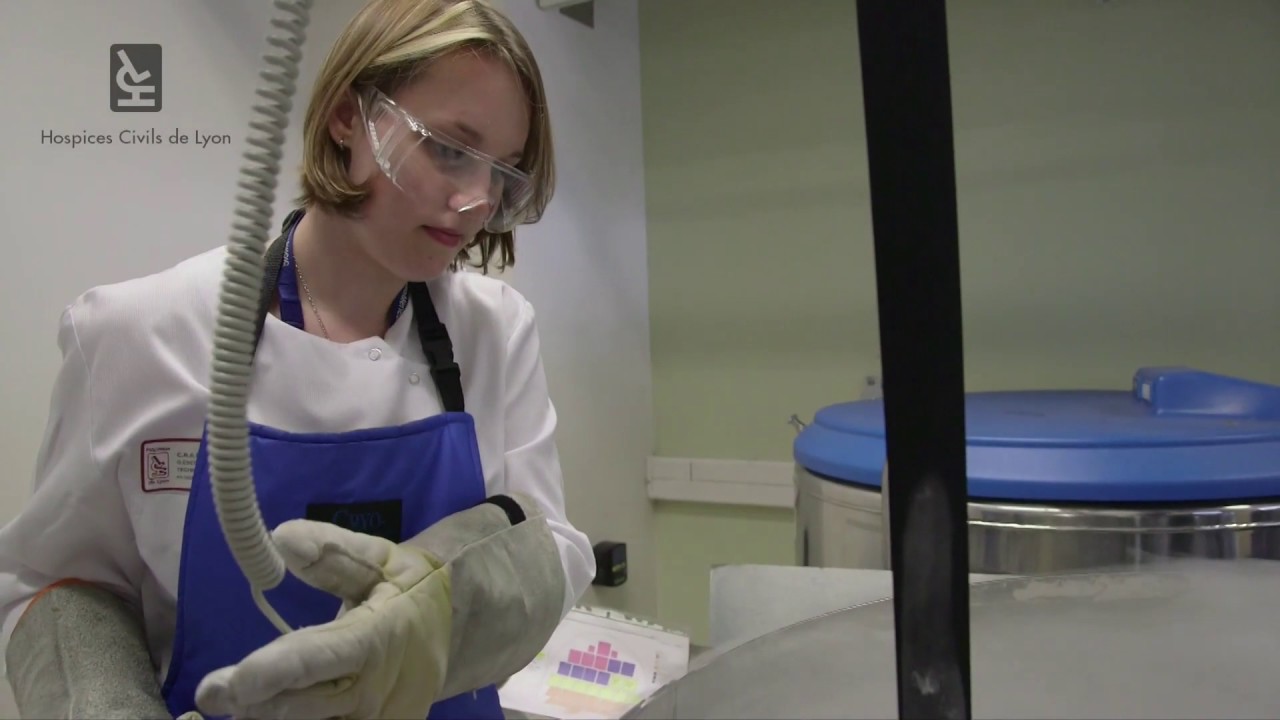 Cancérologie et anatomopathologie, Pr Alexandra Traverse Gléhen ...