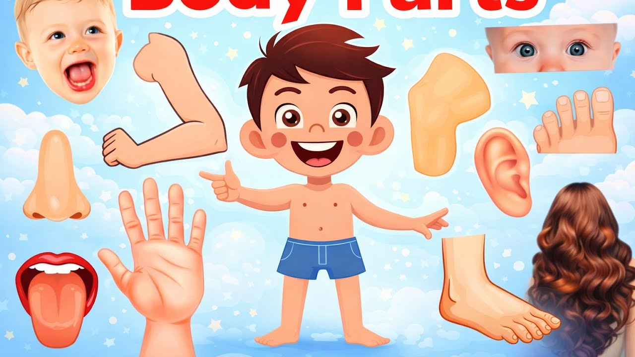 Body Parts Song in Hindi | Head Shoulders Eyes Nose | Kids Learning ...