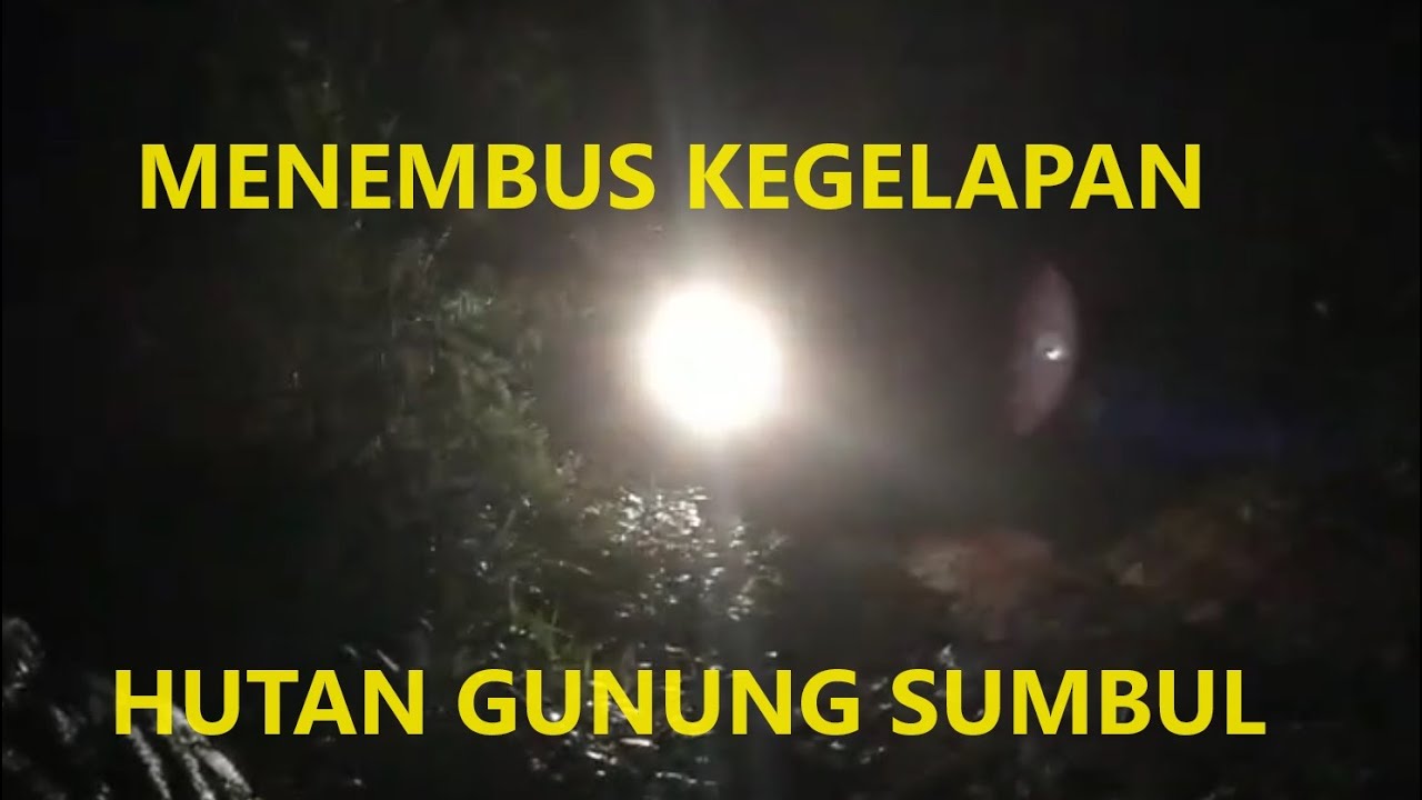 MENEGANGKAN .... Menembus Gelap Malam di Hutan Gunung Sumbul Cianjur ...