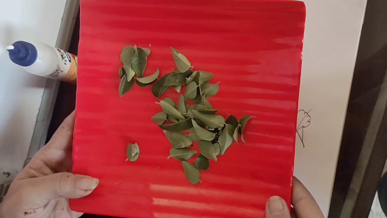 Tree with Leaf 🌿 pasting activity for kg 1 kids - YouTube