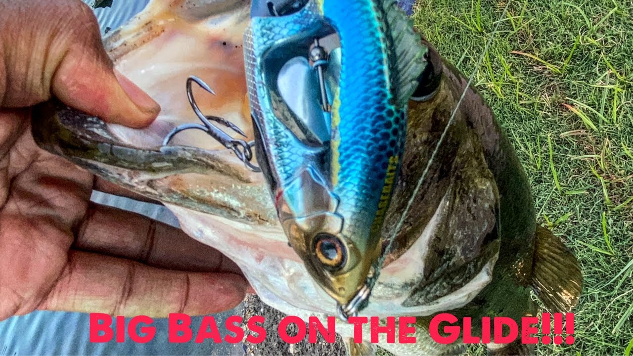 Finally caught some good fish after weeks of dinks! Update: CLOSING IN ...