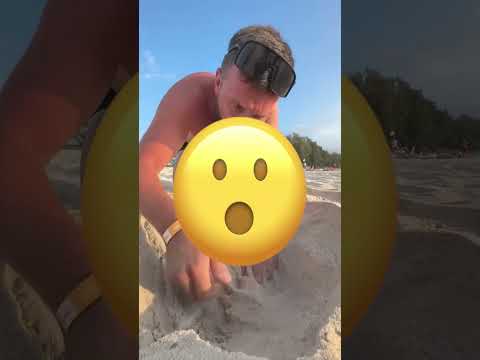 🏖️ Sahil Kumunun İçindeki Hareket Eden Şey Ne? 🦀 😱 (⊙_⊙)