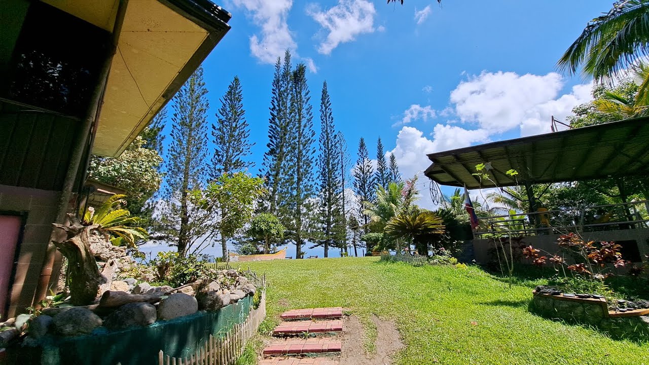 kalon barak skyline ridge - YouTube