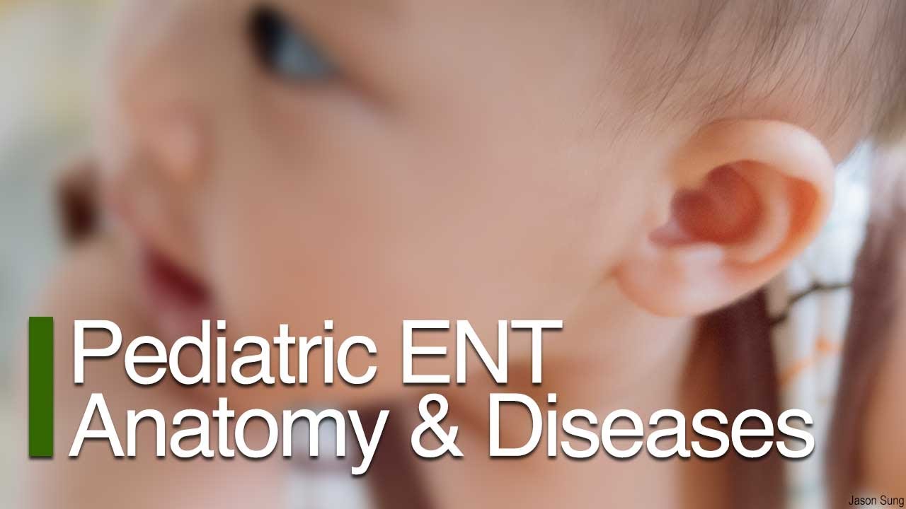Pediatric ENT Anatomy & Disorders - YouTube
