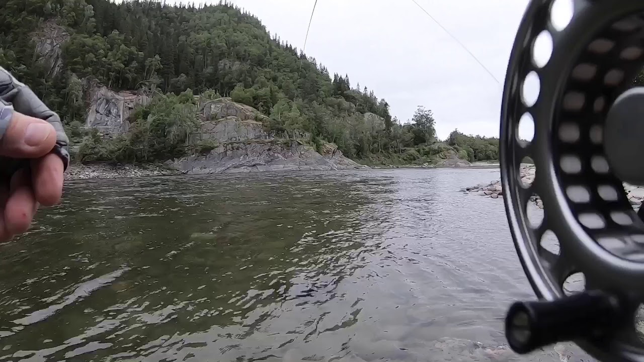 105 cm. Laks i Bruahölen - Gaula - YouTube