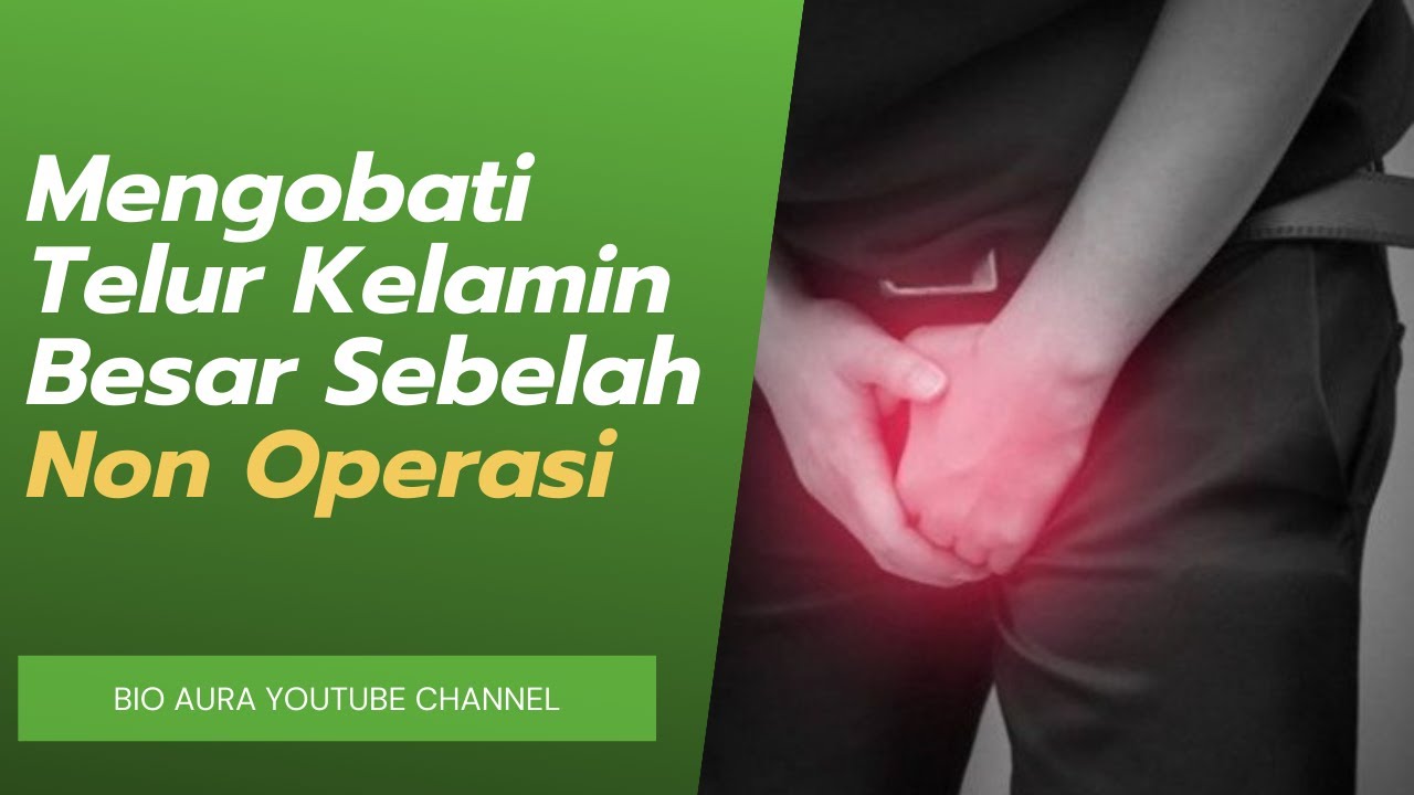 Cara Mengobati Telur Kelamin Besar Sebelah Non Operasi - YouTube