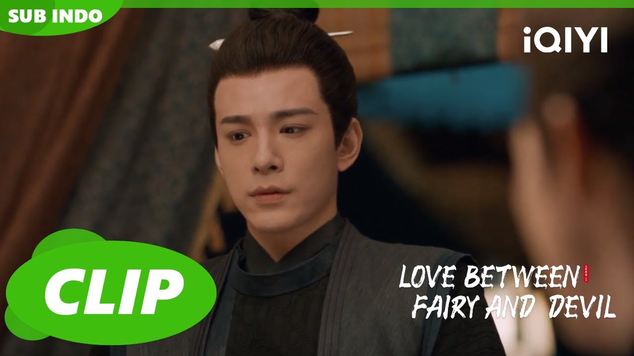 Qingcang dan Shangque saling berkonsultasi | EP20 | Love Between Fairy ...