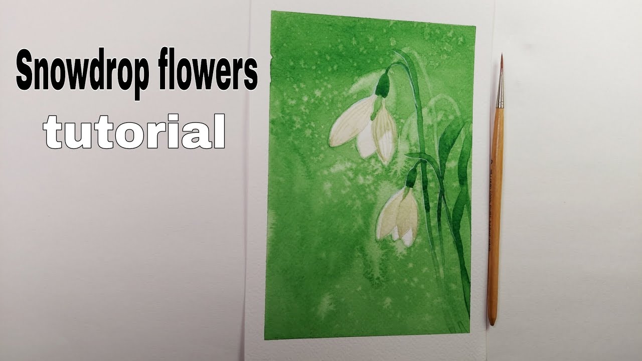 How to draw and paint Snowdrop flowers! - YouTube